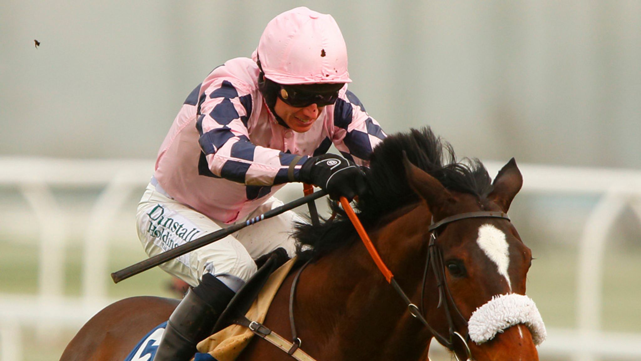 Our gallops reporter has the latest from Kingsclere Stables | Racing ...