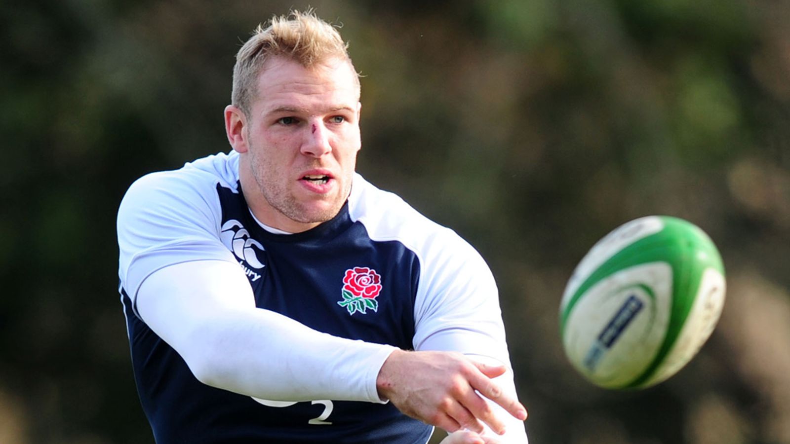 Six Nations: James Haskell ready for Sergio Parisse reunion in England ...