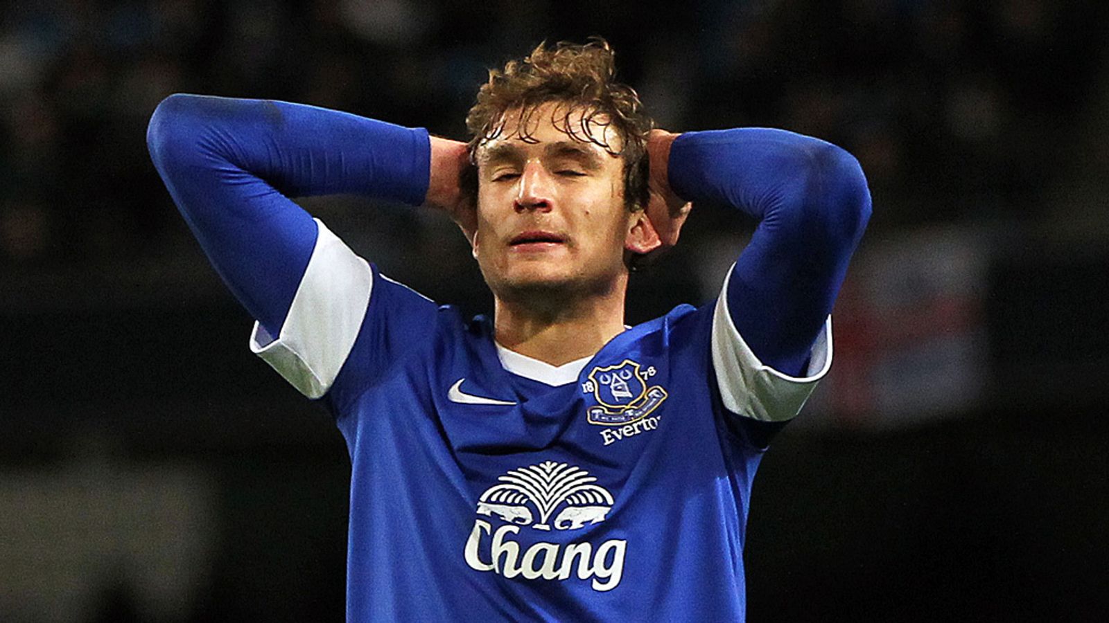 Everton midfielder Leon Osman backs Nikica Jelavic to thrive on ...