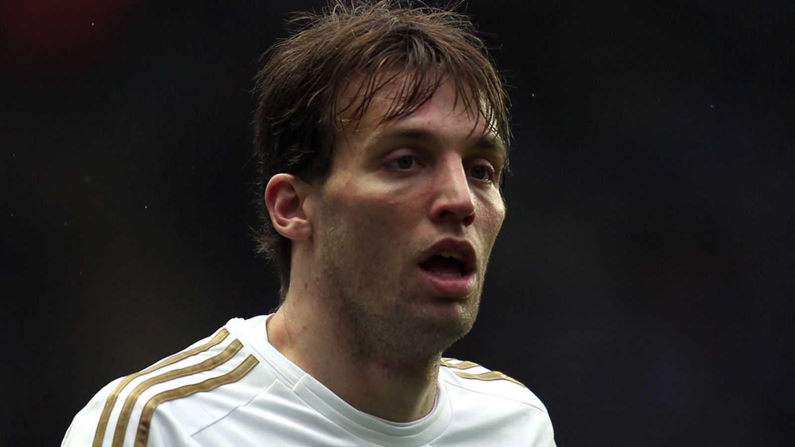 Swansea forward Michu picks up hamstring injury against Manchester City ...