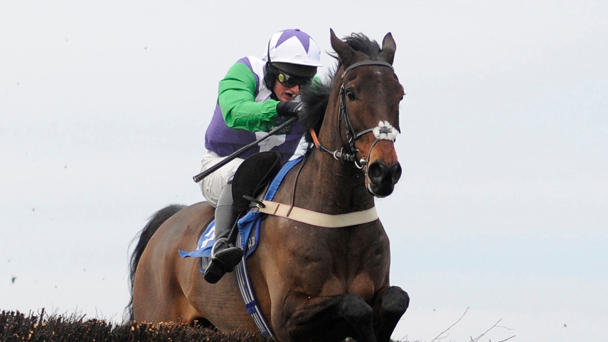 Harry Fry excited by form of French import Vukovar | Racing News | Sky ...