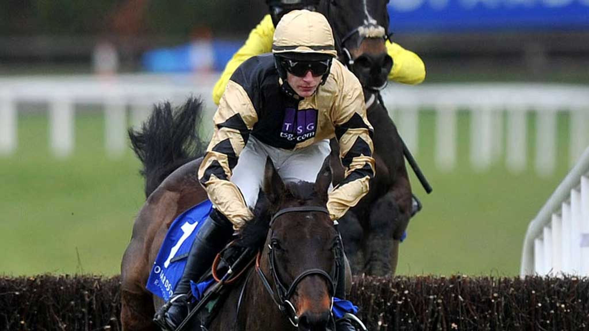 Boston Bob goes for the Galmoy Hurdle at Gowran Park | Racing News ...