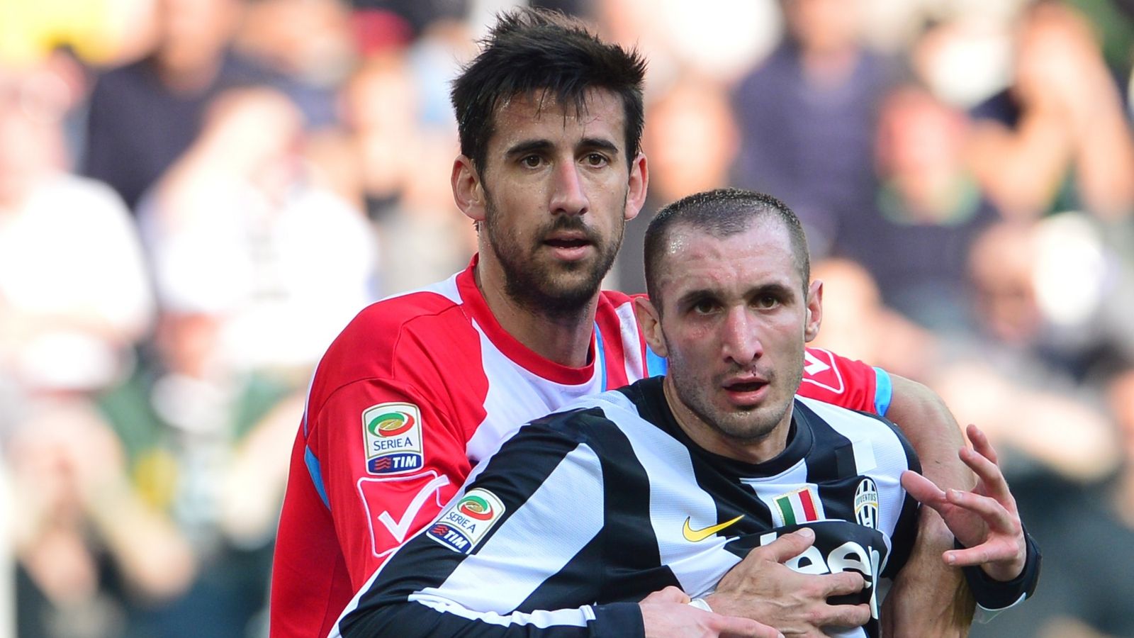 Transfer news: Argentine Nicolas Spolli says Tottenham wanted him ...