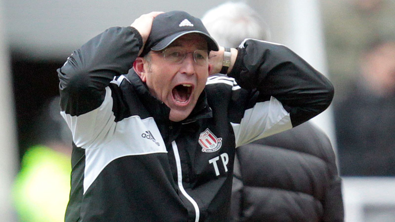 Stoke boss Tony Pulis says his squad have to meet the challenge of ...