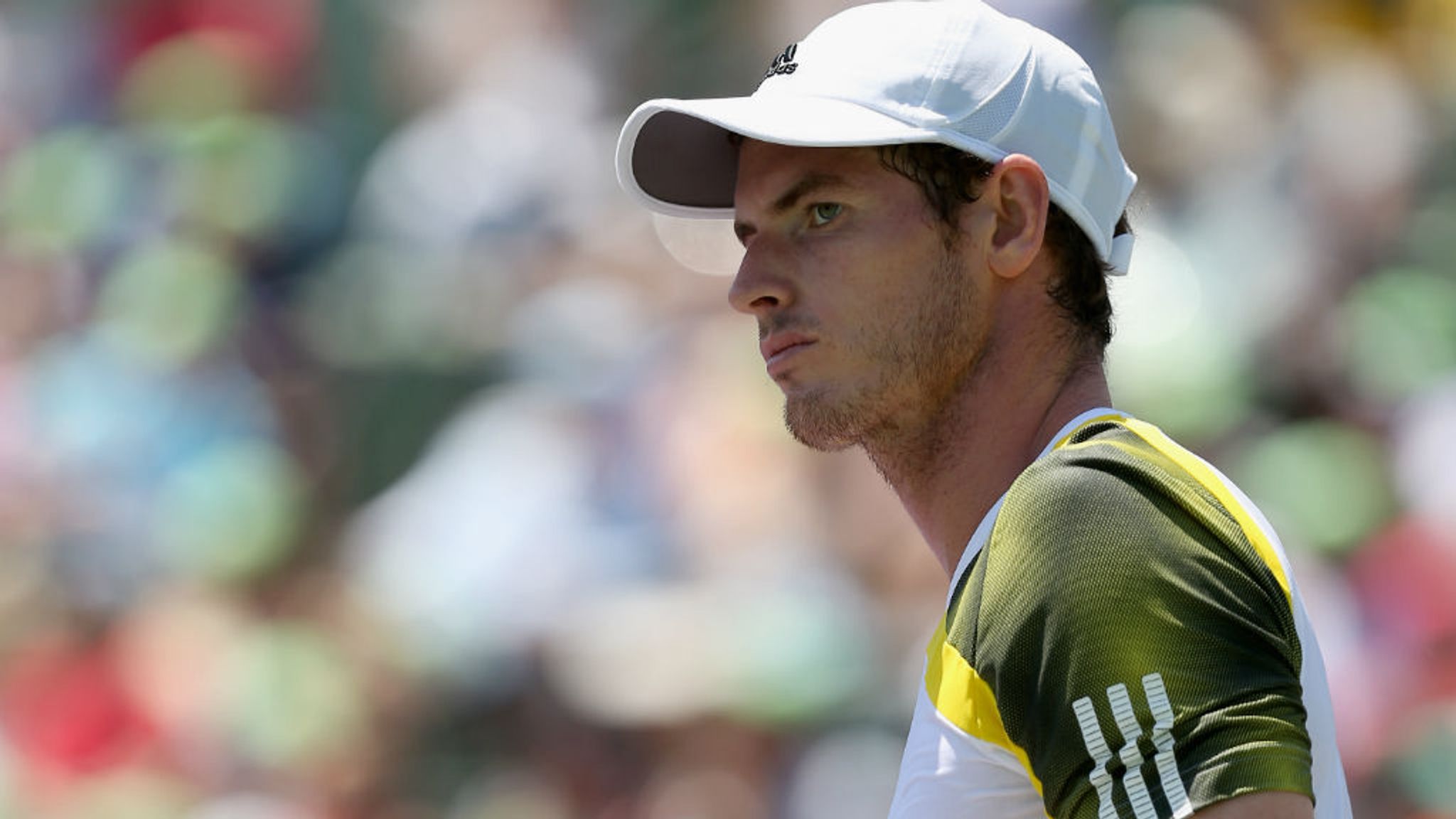 Andy Murray backed to triumph at Rogers Cup | Tennis News | Sky Sports