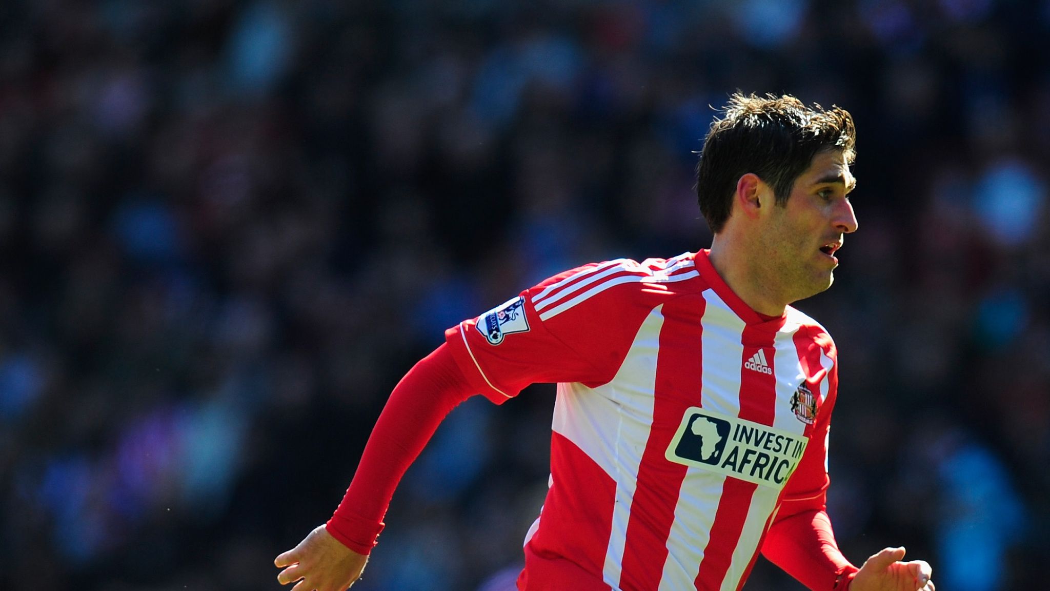 Transfer news: Sunderland's Danny Graham set for loan move to Hull City ...