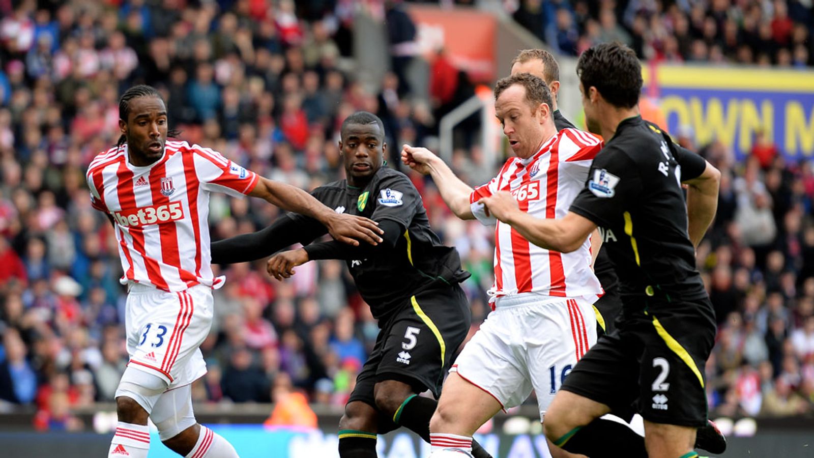 Premier League: Charlie Adam secures 1-0 win for Stoke against Norwich ...
