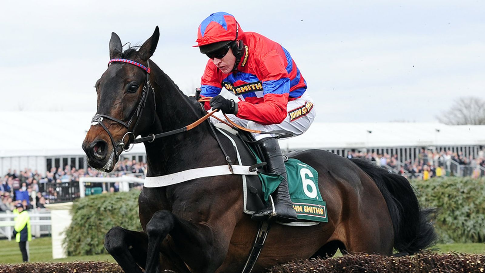 Sprinter Sacre to be scoped after Champion Chase disappointment ...