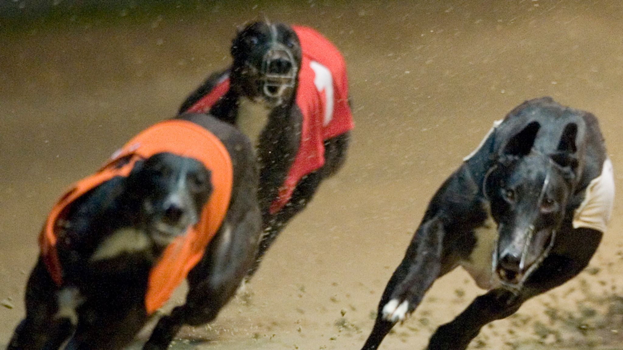 Race is on to reach final - and remain in the running for the £150,000 ...