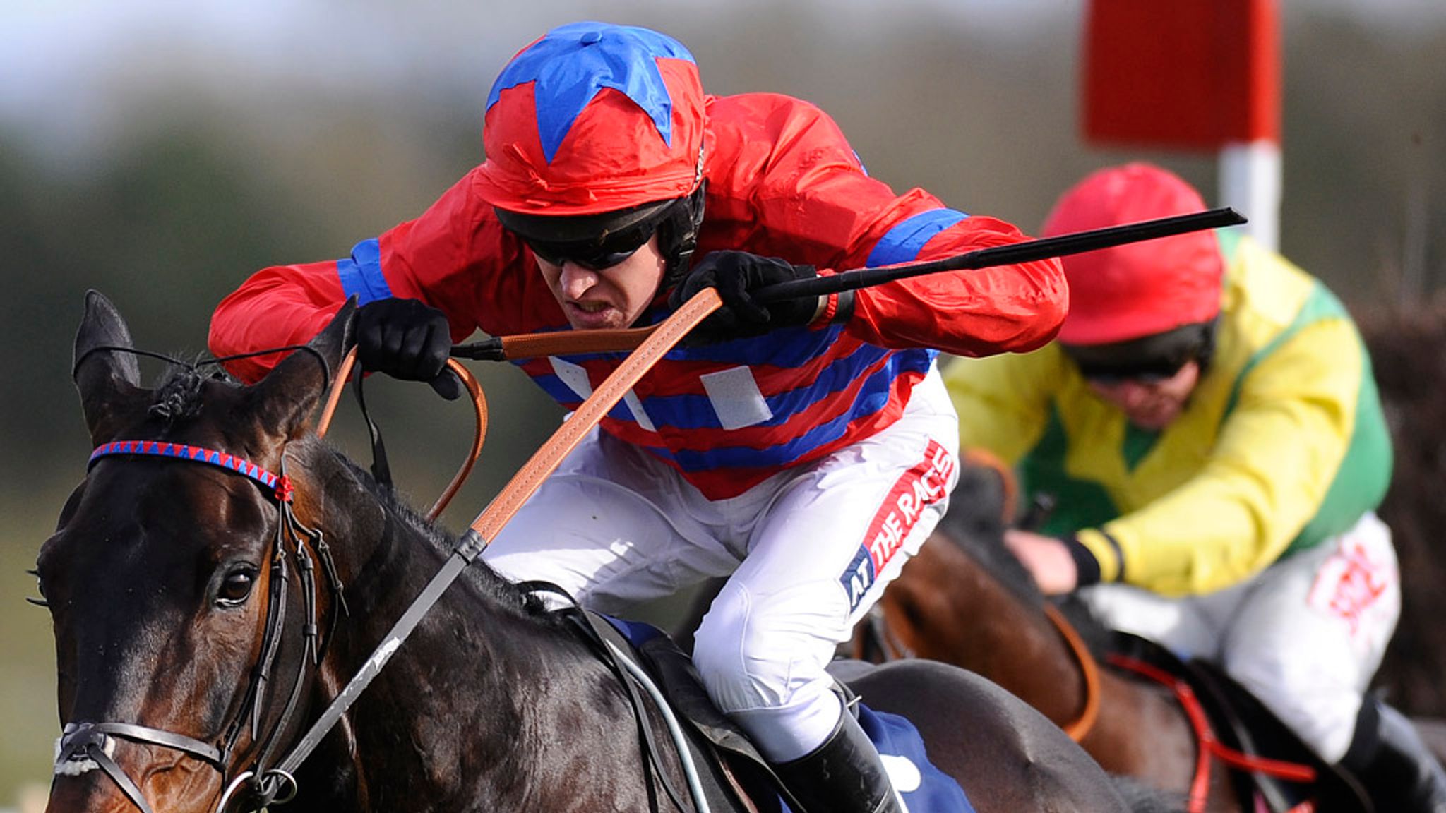 Sprinter Sacre tops entry of 10 for Clarence House Chase | Racing News ...