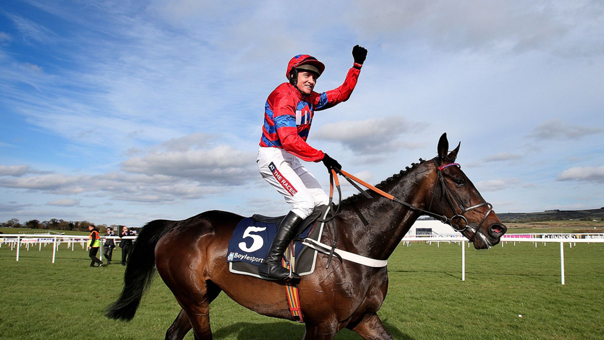 Sprinter Sacre heads Queem Mother Champion Chase entry | Racing News ...