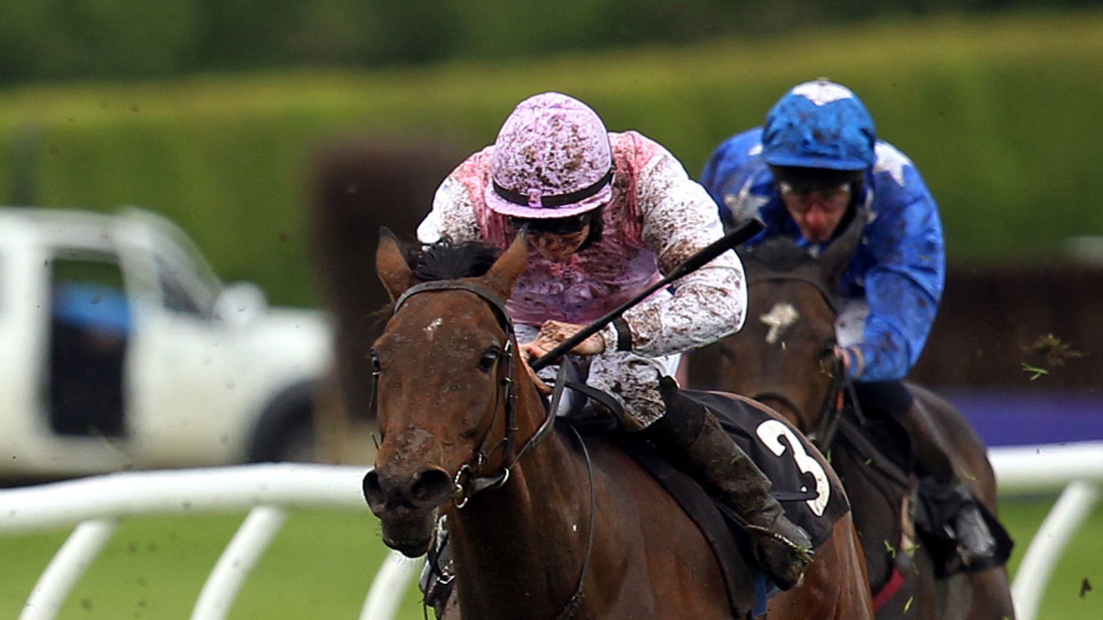 Lily's Angel has been retired | Racing News | Sky Sports