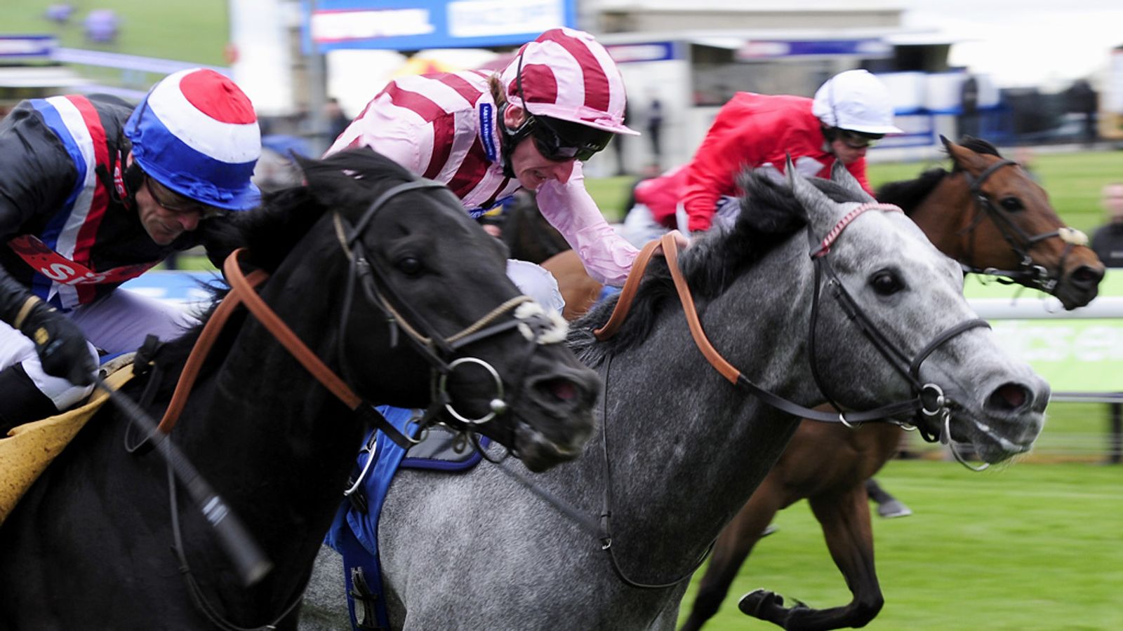 Lethal Force will head straight for the Diamond Jubilee Stakes at Royal ...
