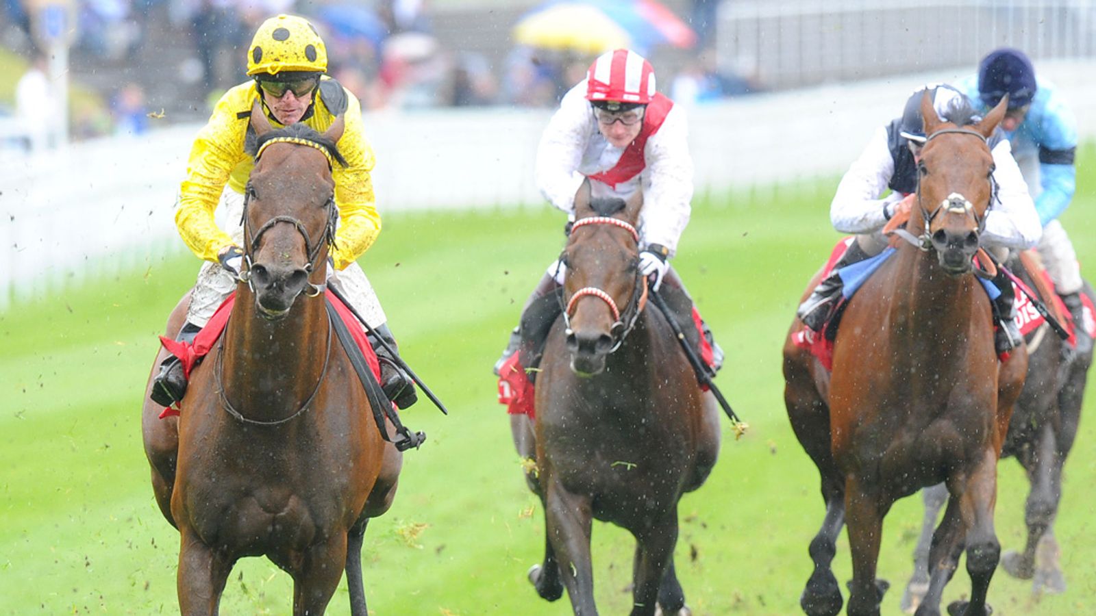 Luca Cumani still considering options for Chester hero Danadana ...