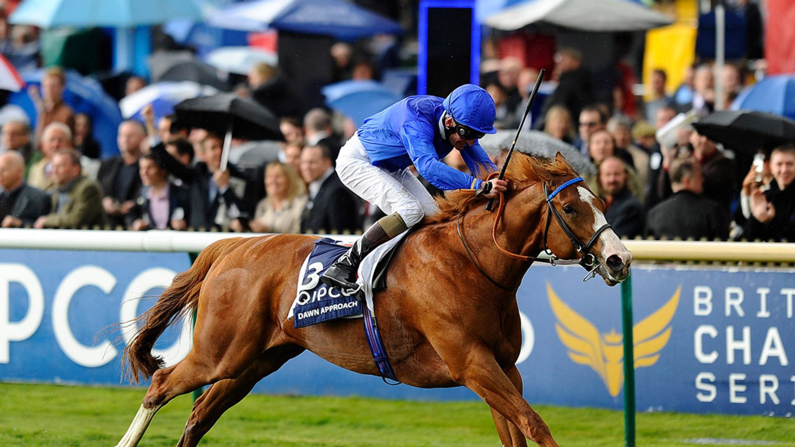 Lydia Hislop's horse-by-horse guide to Saturday's Investec Derby ...