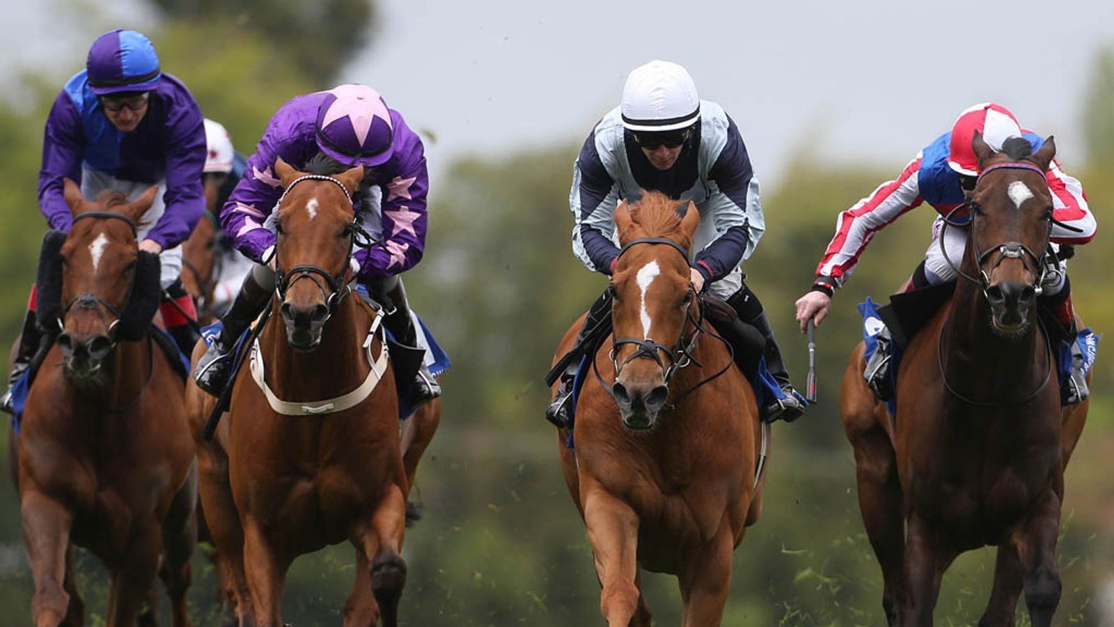 David Wachman's Duntle is being prepared for a campaign in the second ...