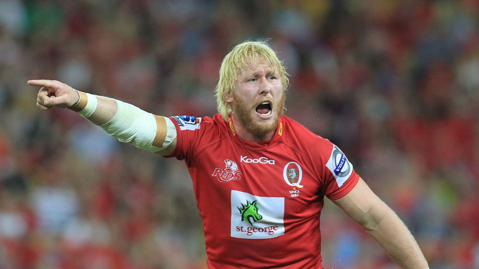 Beau Robinson misses out on second chance to face Lions with head ...