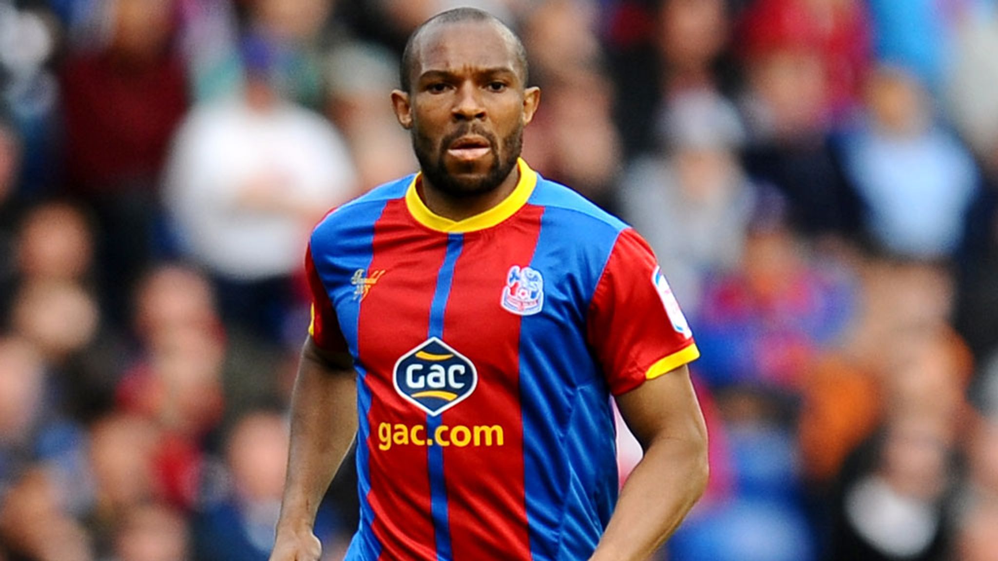 Danny Gabbidon wants new Crystal Palace contract | Football News | Sky ...