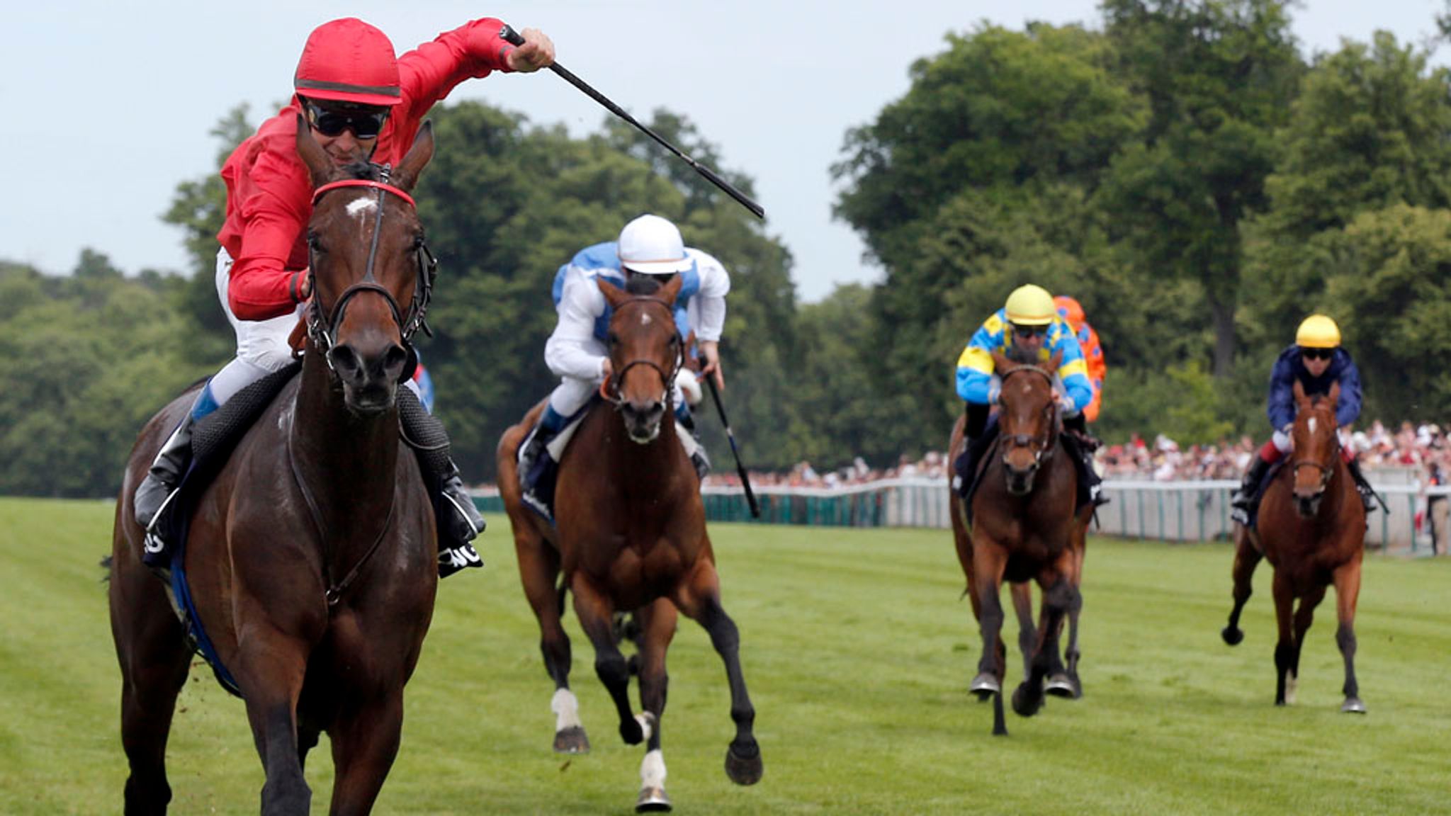 Treve could run at Deauville as she prepares for the Arc | Racing News ...