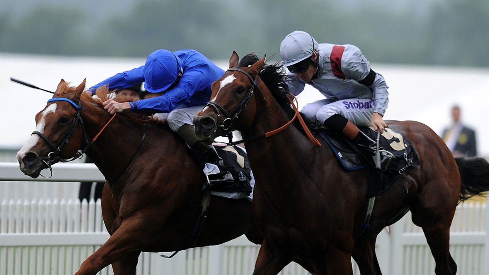 Dawn Approach and Toronado are set to clash in the Sussex Stakes ...
