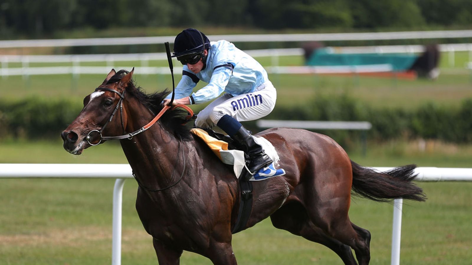 Alex Hammond previews racing at Ascot, Haydock, Deauville, Newmarket ...