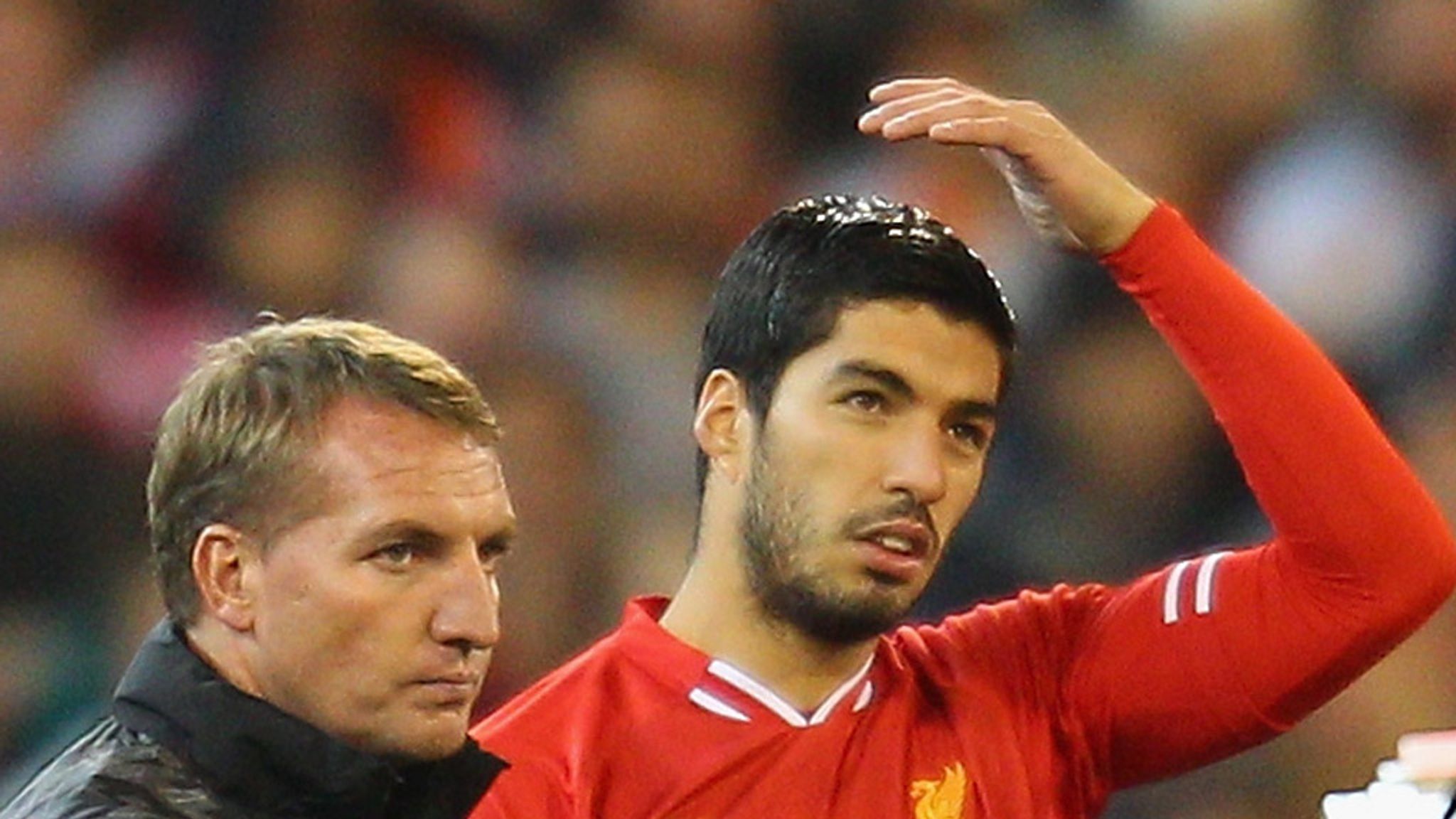 Liverpool boss Brendan Rodgers says Arsenal must up bid for Luis Suarez ...