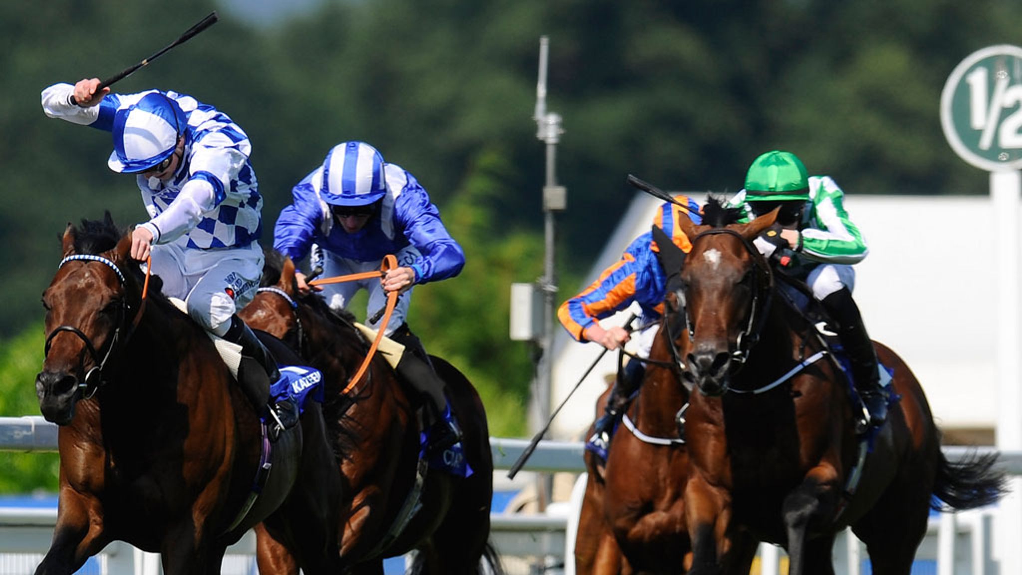 Al Kazeem will bypass the King George VI And Queen Elizabeth | Racing ...