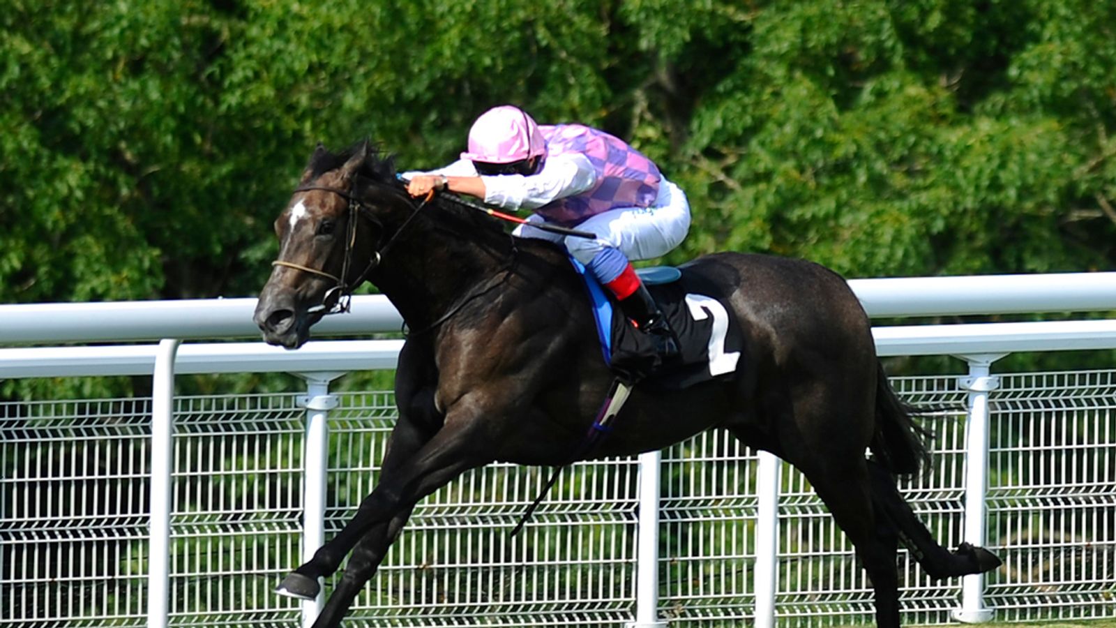 The Prix Marcel Boussac looks the next target for Amazing Maria ...