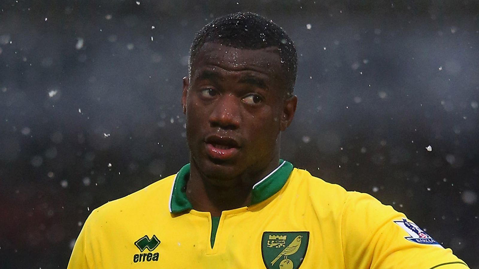 Sebastien Bassong | Football News | Sky Sports