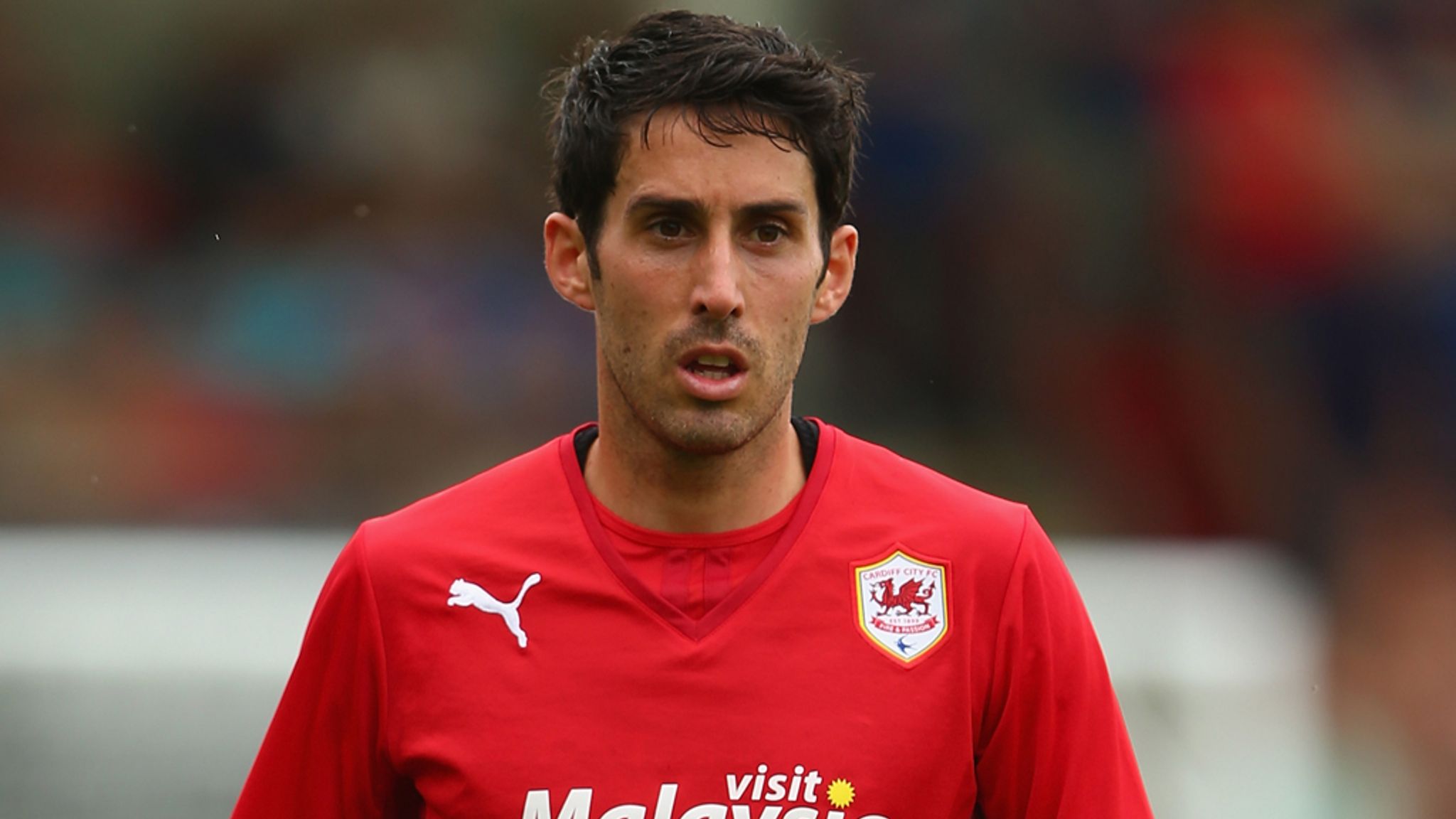 Premier League: Peter Whittingham refusing to give up on Cardiff's ...