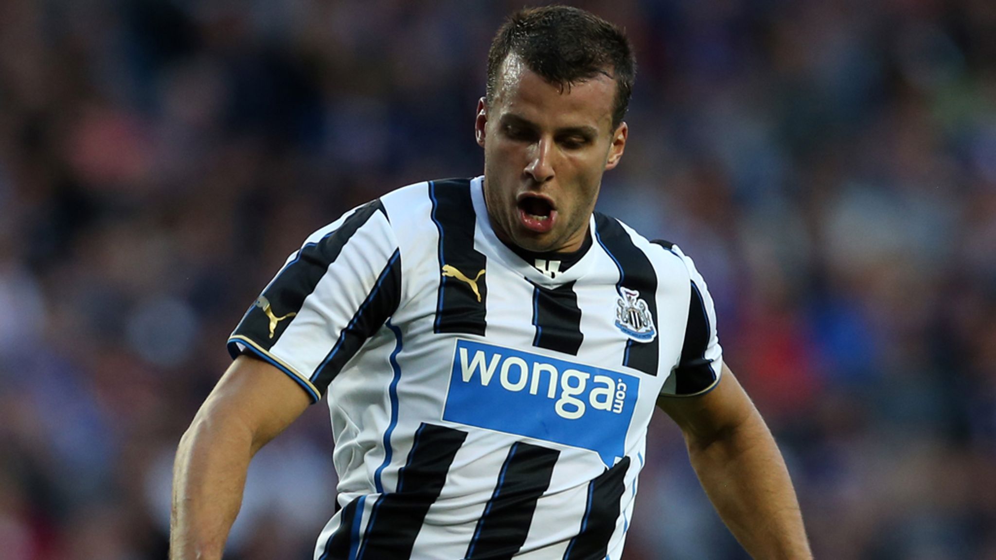 Transfer News: Newcastle defender Steven Taylor could go out on loan in ...