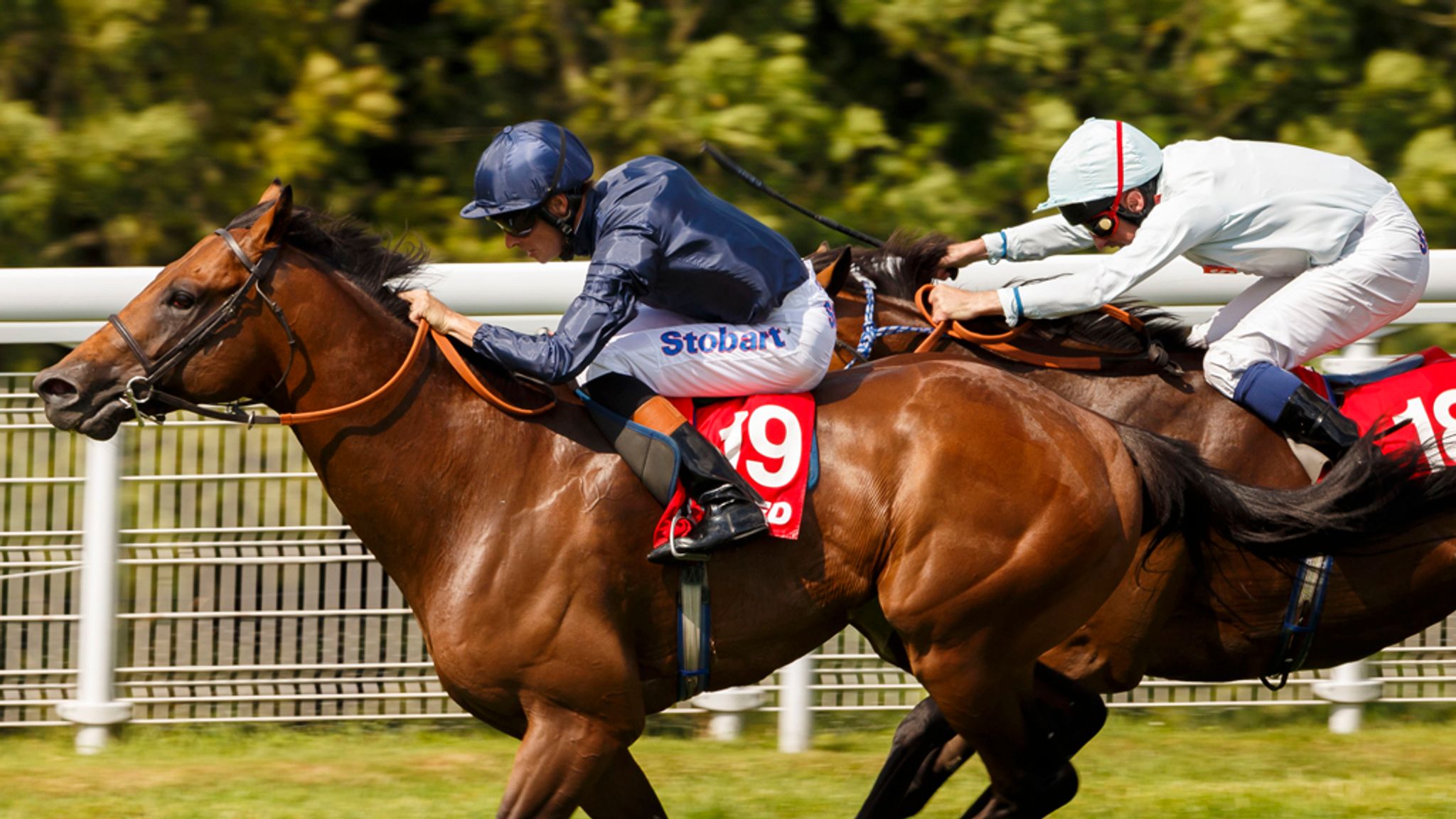 Wentworth impressed workwatchers on the Lambourn gallops | Racing News ...