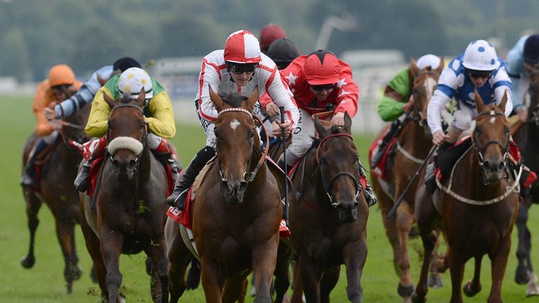 Tiger Cliff and First Mohican target Cheltenham Festival | Racing News ...