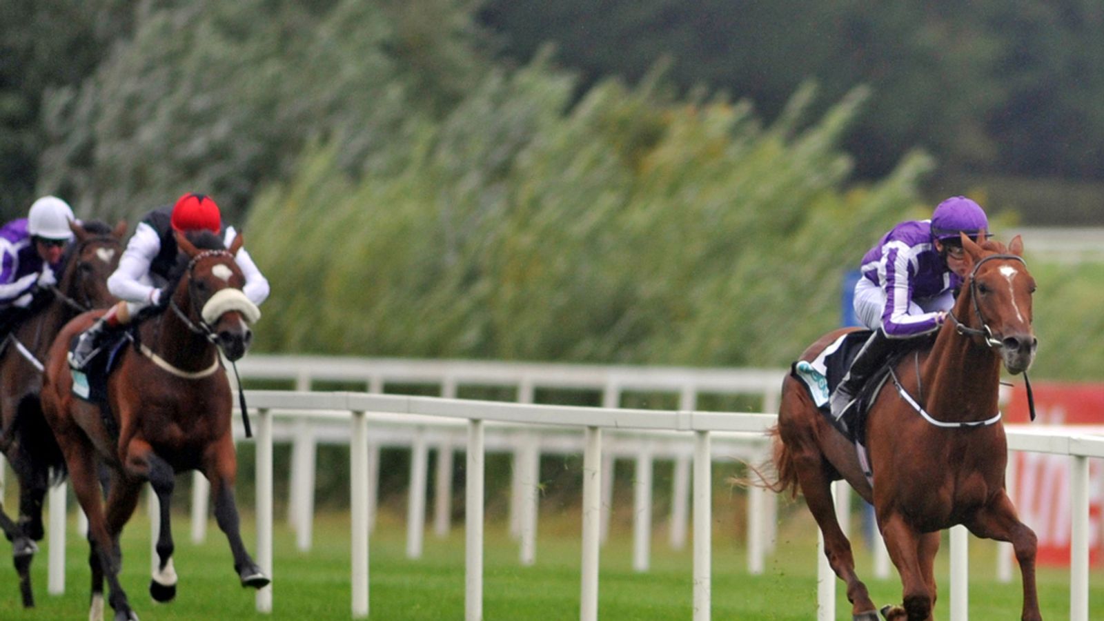 Australia still in Derby shake-up after 118 horses left in at latest ...