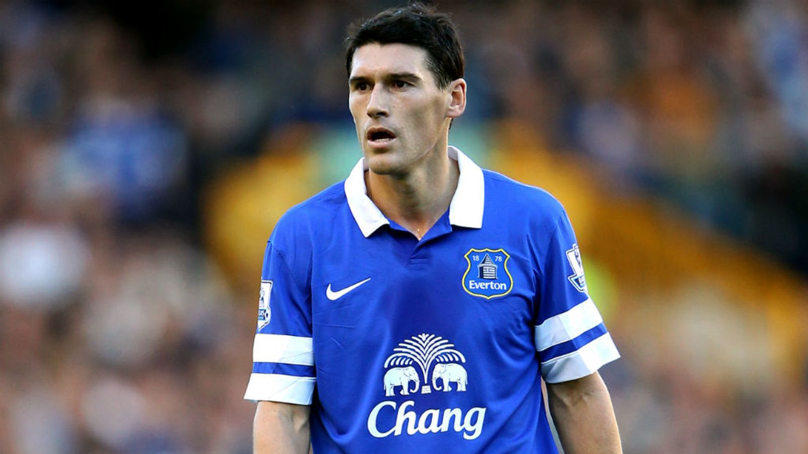 Gareth Barry happy at Everton following loan move from Manchester City ...