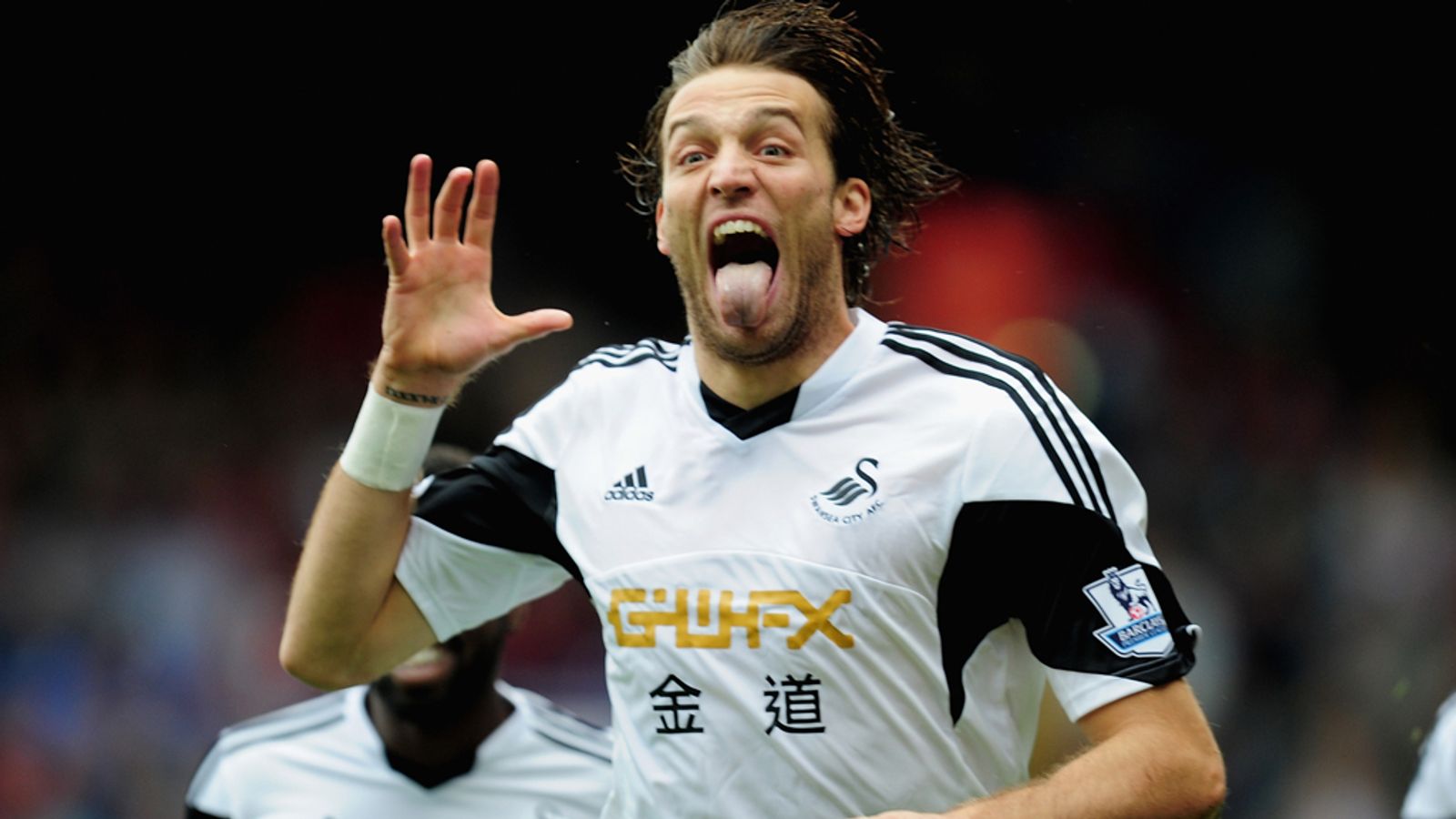 Swansea boss Michael Laudrup insists Michu is a rare type of player ...