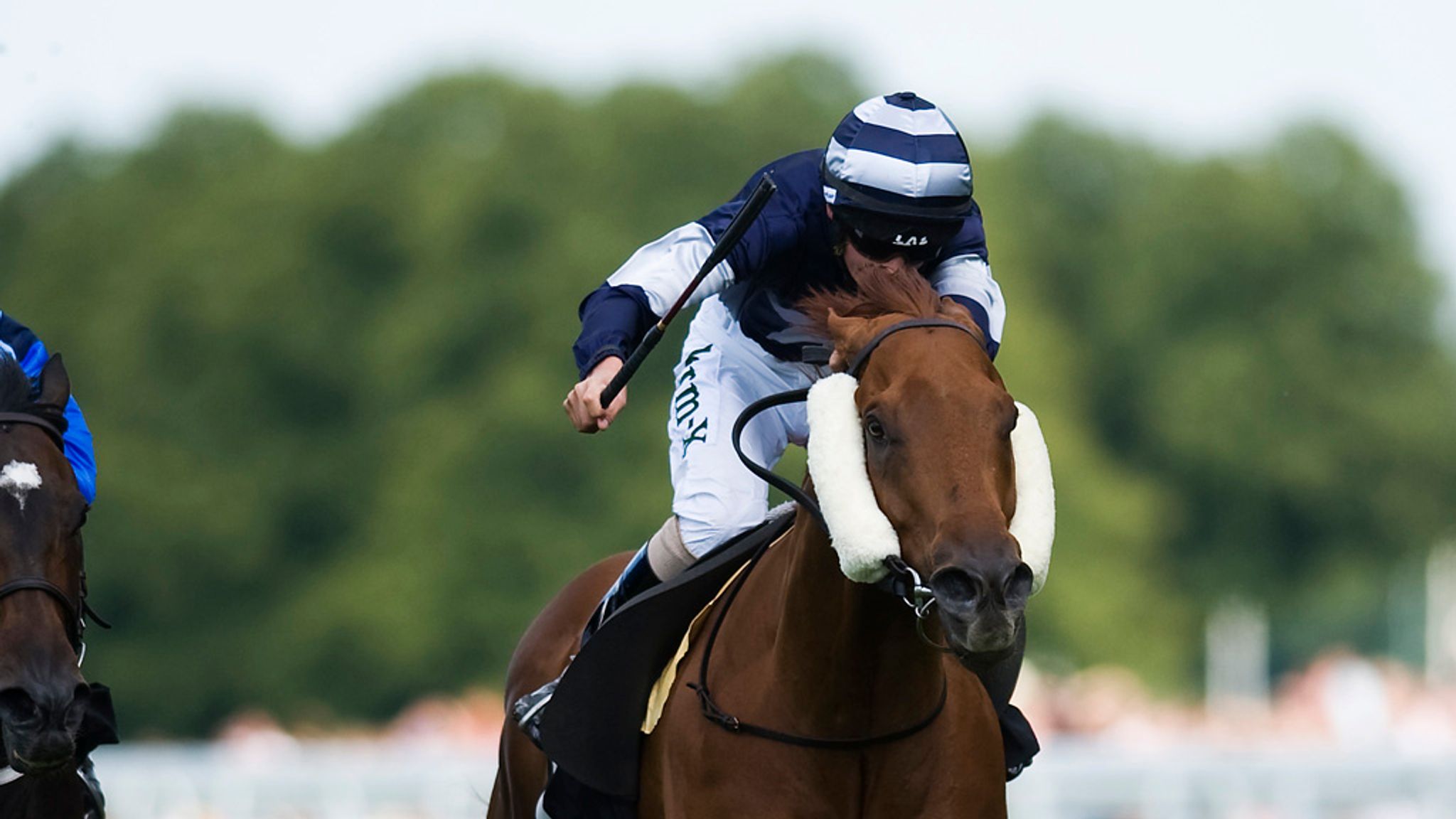 High hopes for Jeremy Gask's Medicean Man | Racing News | Sky Sports