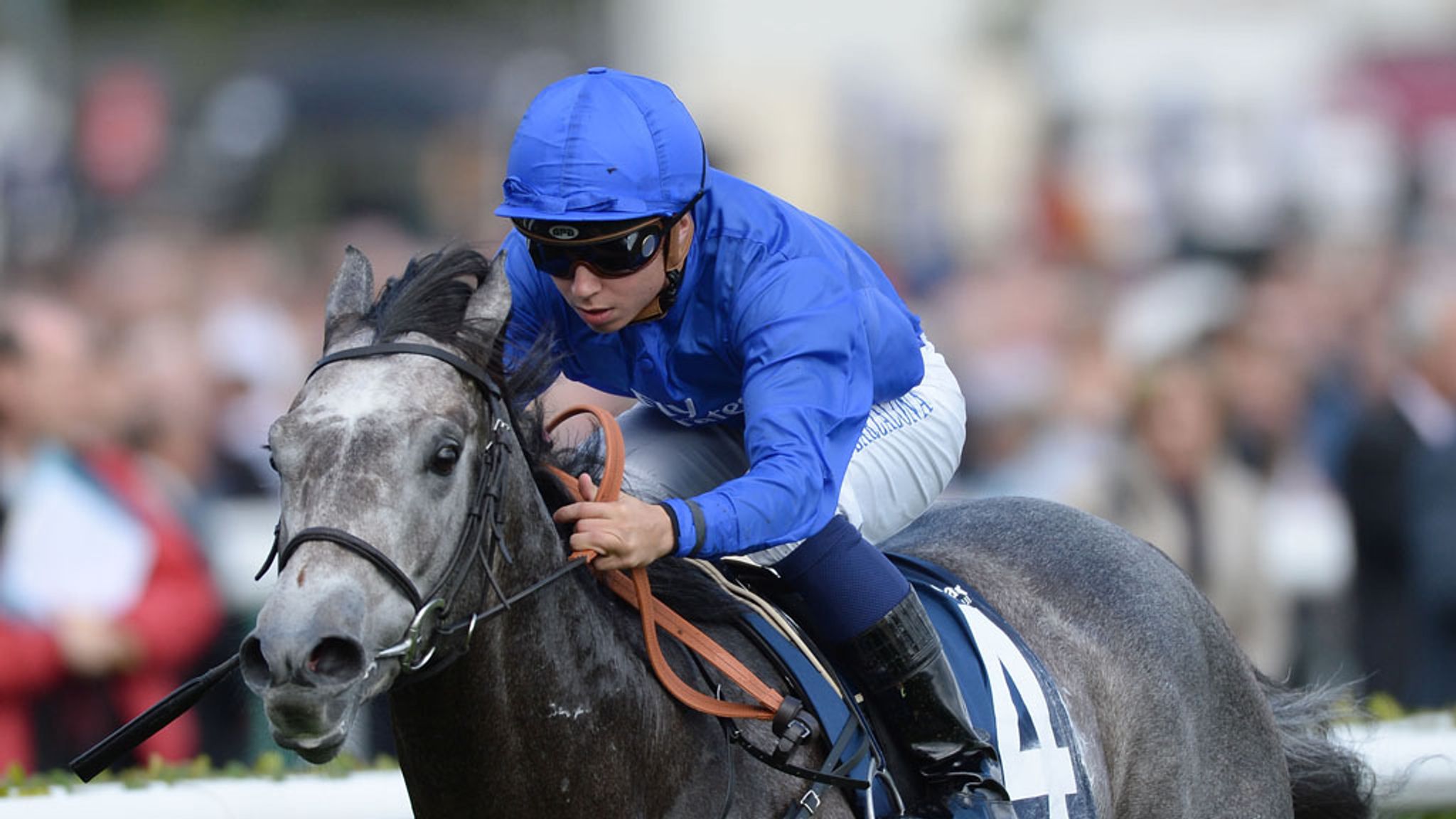 Man On The Spot Meydan: Outstrip up for the Challenge | Racing News ...