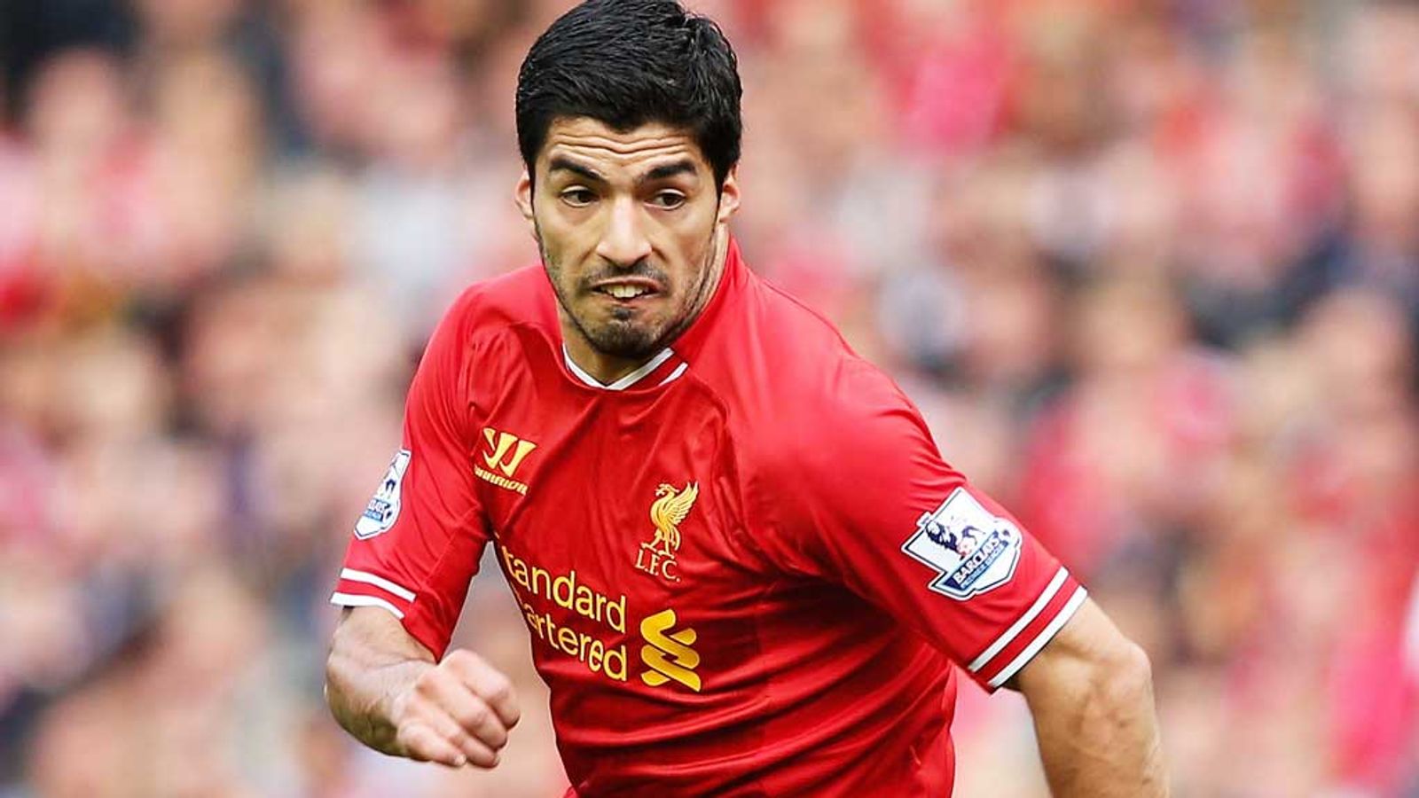 Tom Werner reckons striker Luis Suarez can play in the Champions League ...