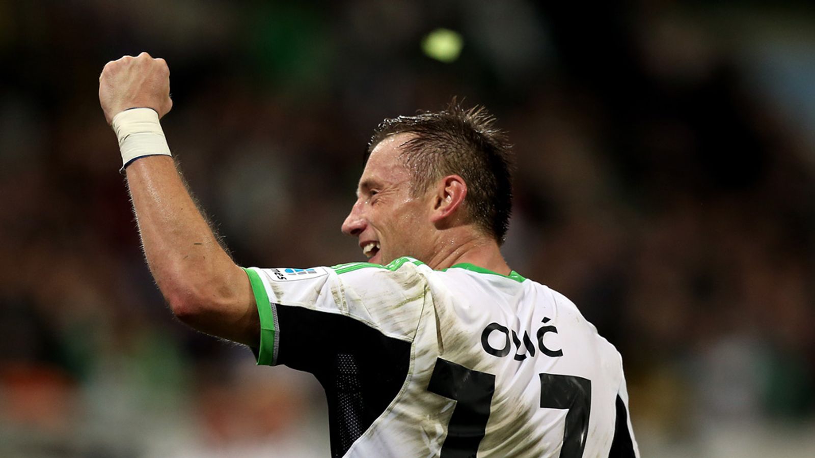 Transfer news: Mark Hughes confirms Stoke interest in Ivica Olic ...