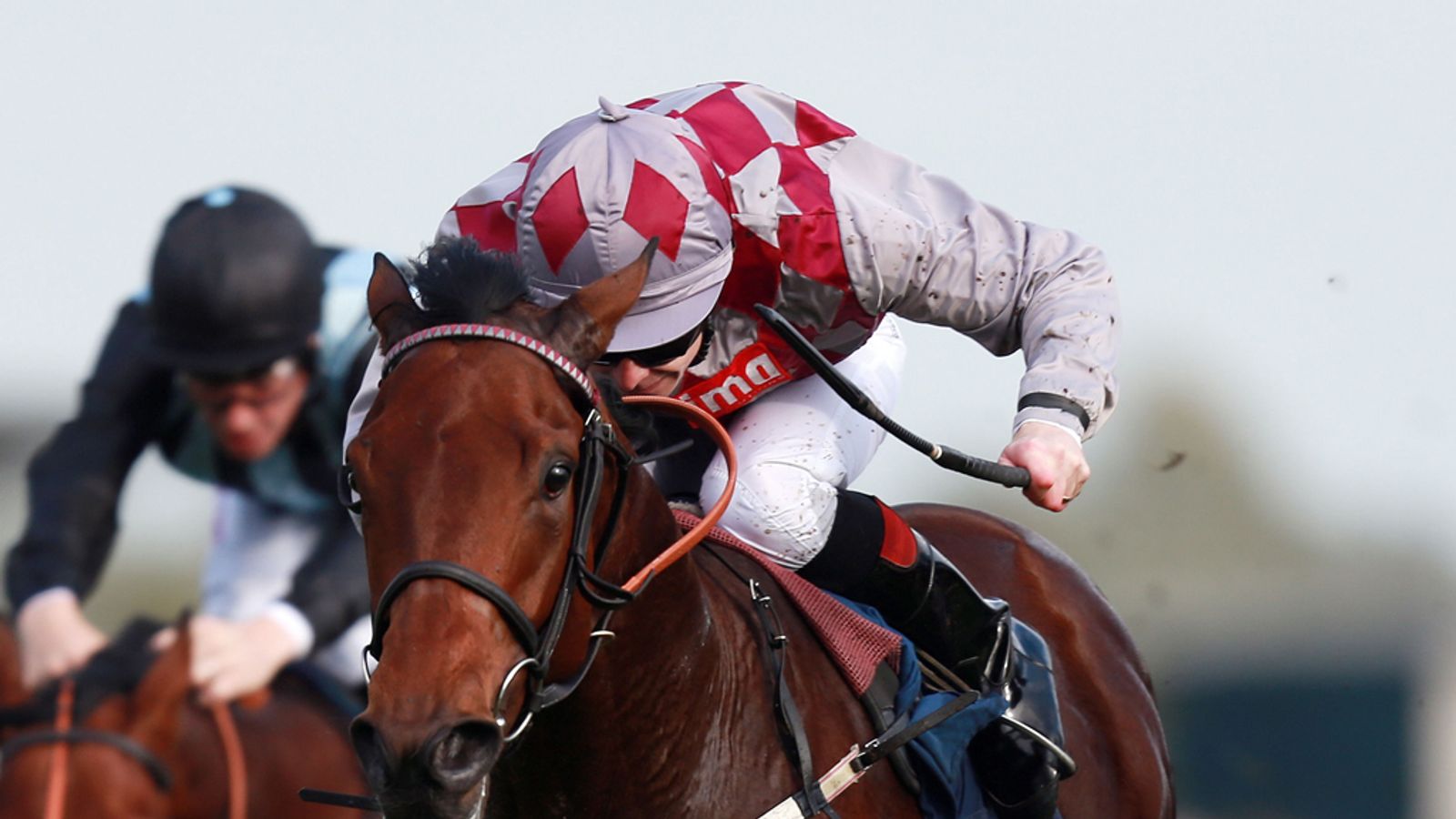 Warwick review: Alan King sounds Chatez warning | Racing News | Sky Sports
