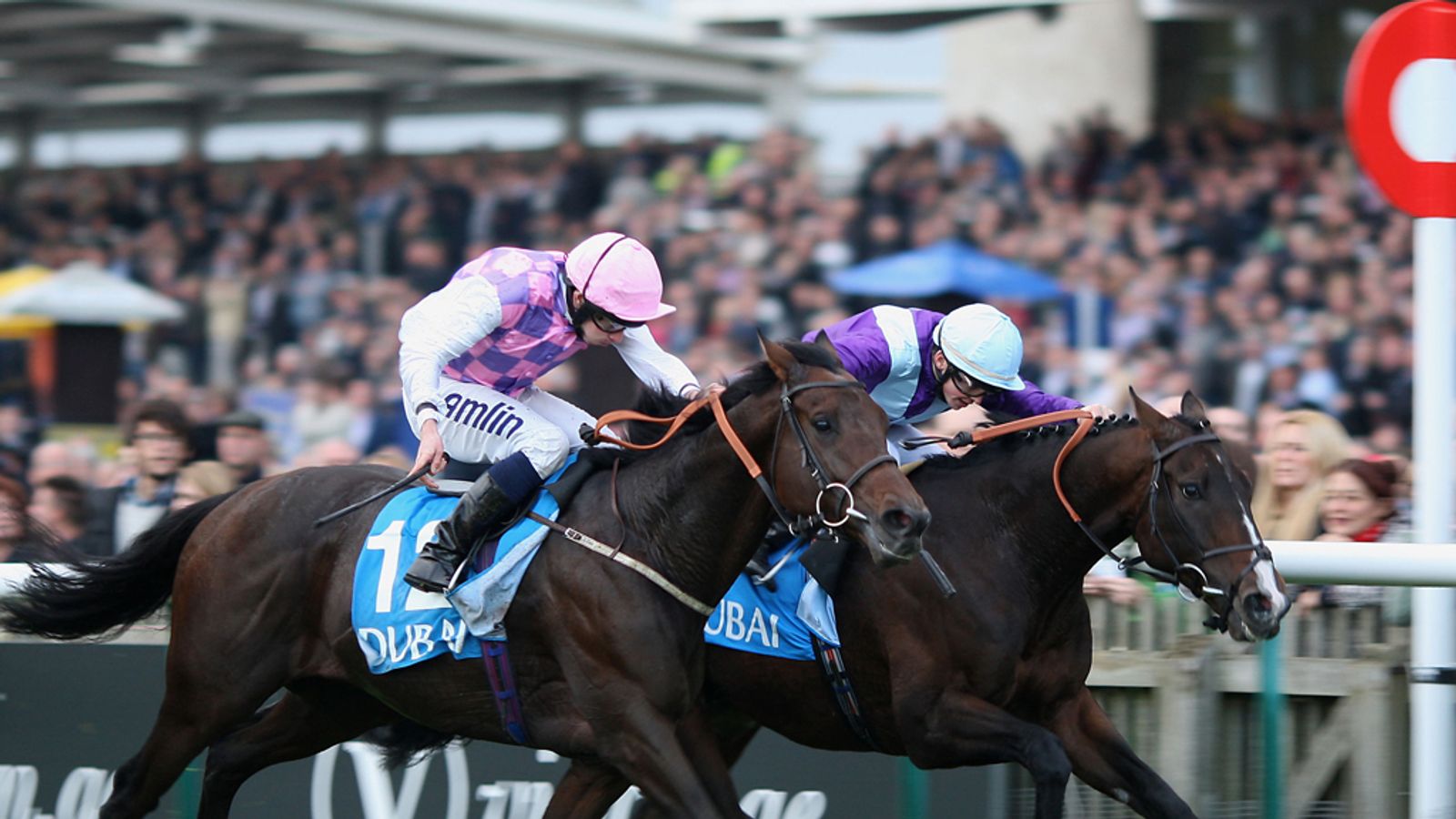 Our gallops reporter has run his eye over Andrew Balding's team ...