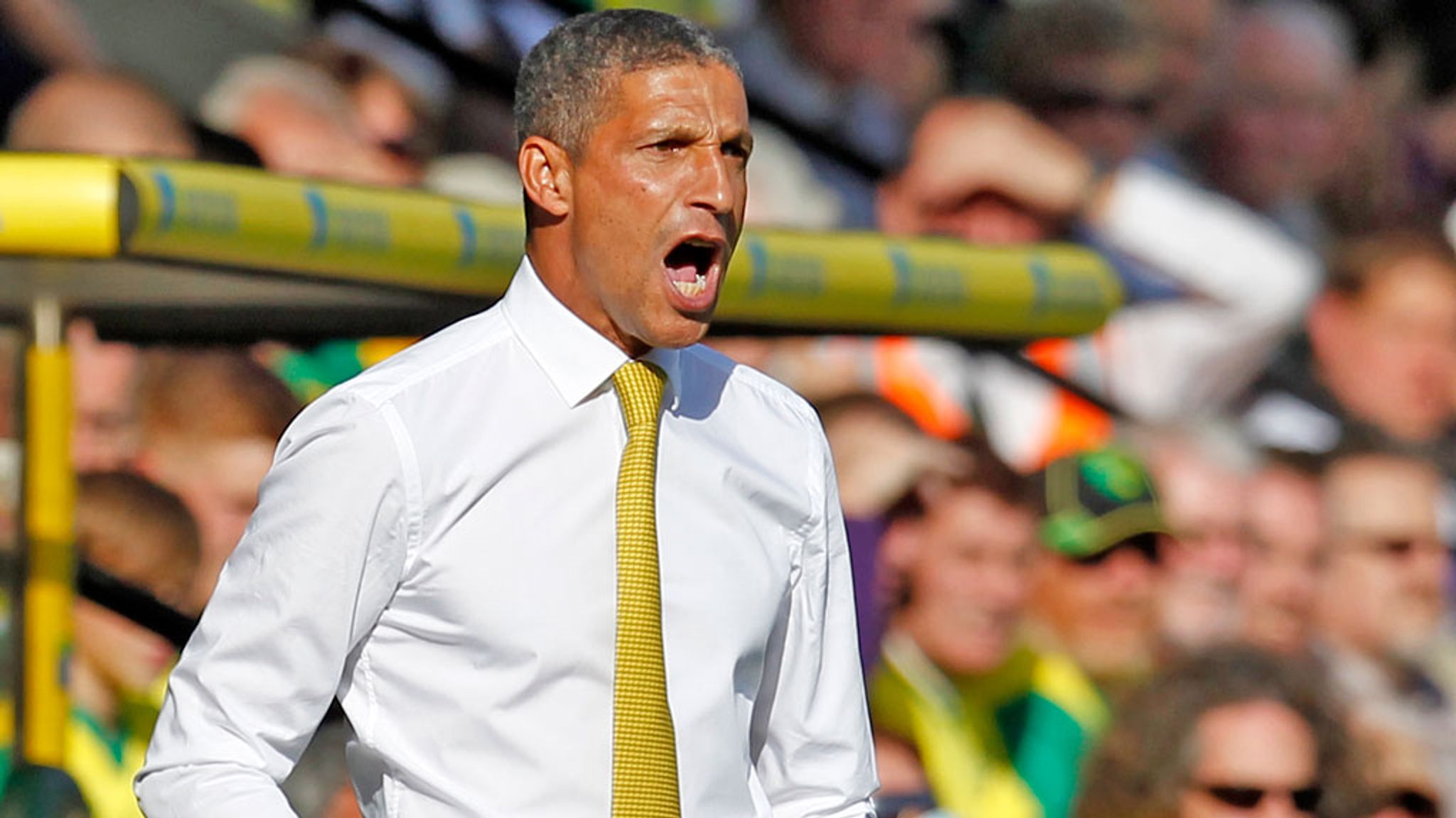 Norwich manager Chris Hughton knows World Cup places are up for grabs ...