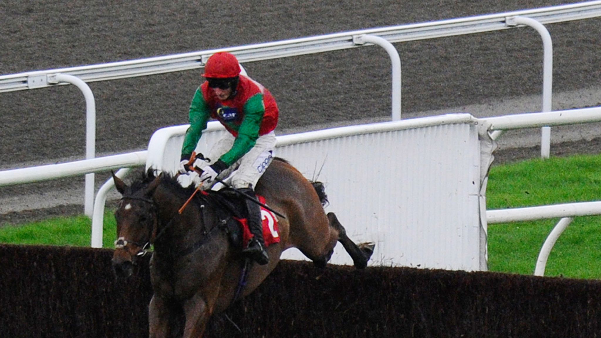 Dodging Bullets earned quotes for the Arkle Trophy | Racing News | Sky ...