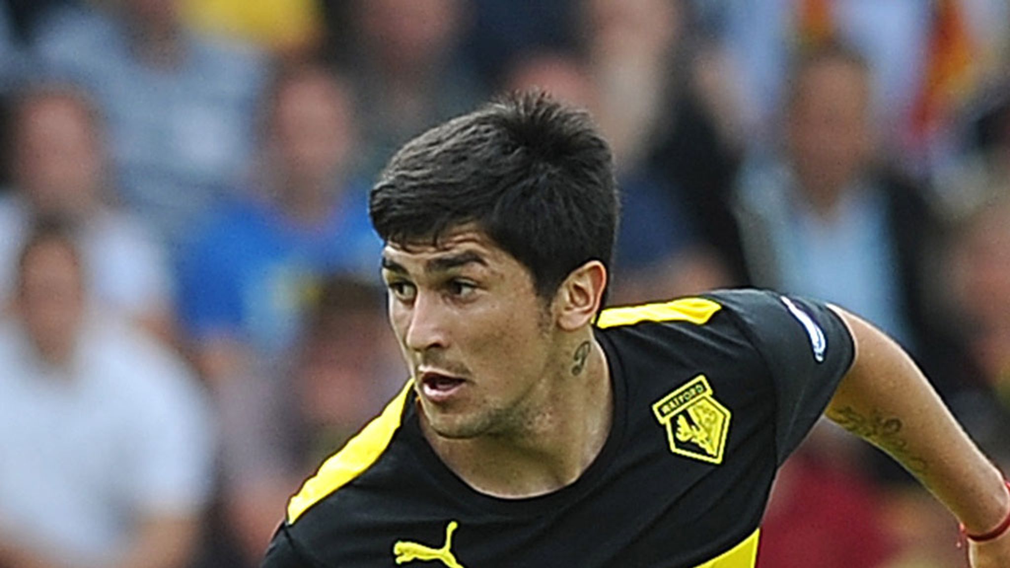 Championship: Fernando Forestieri happy at Watford and relaxed over ...