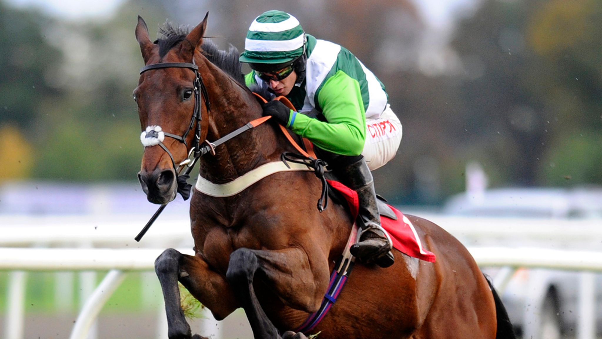 Rock On Ruby run depends on weather | Racing News | Sky Sports