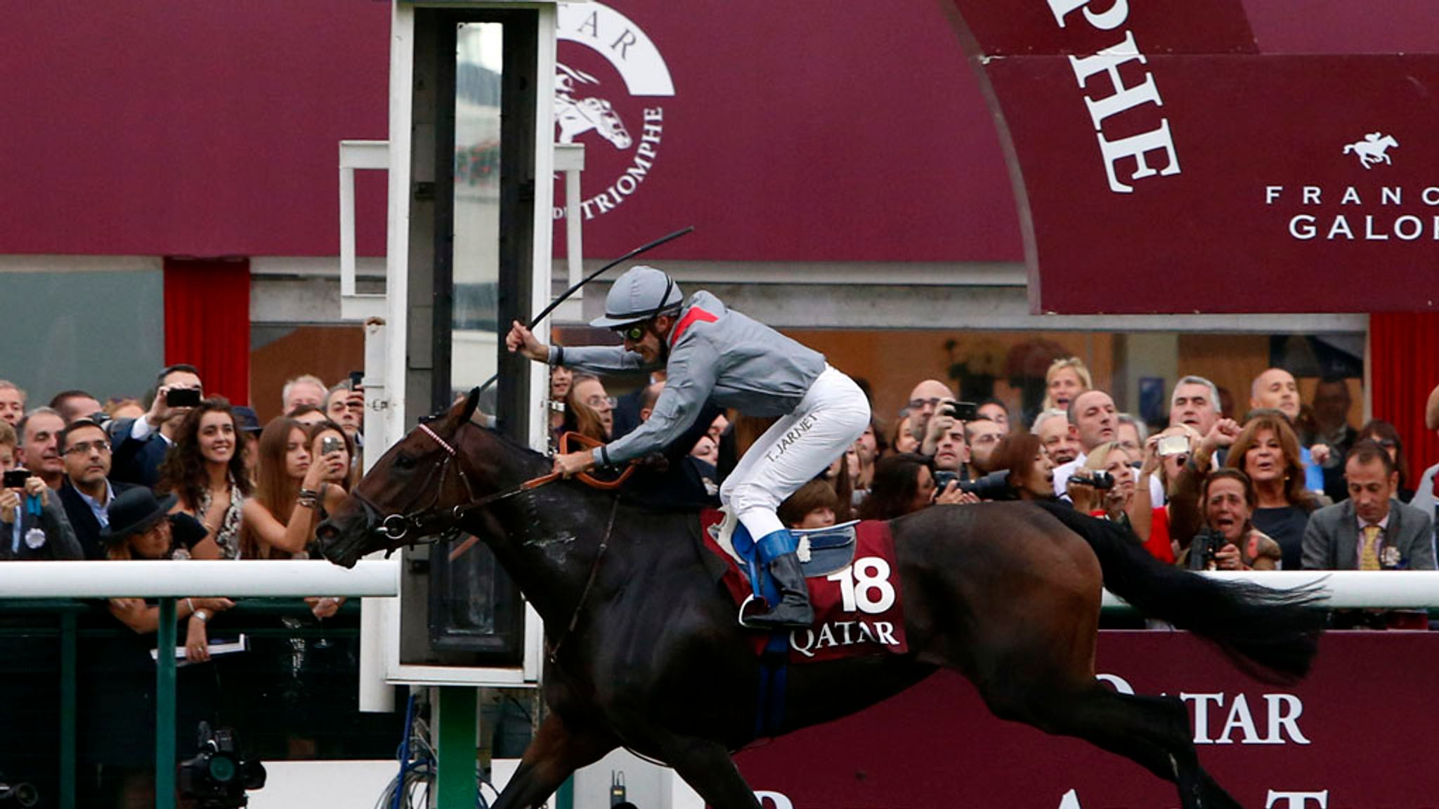 Treve named Horse of the Year at the 23rd Cartier Racing Awards ...