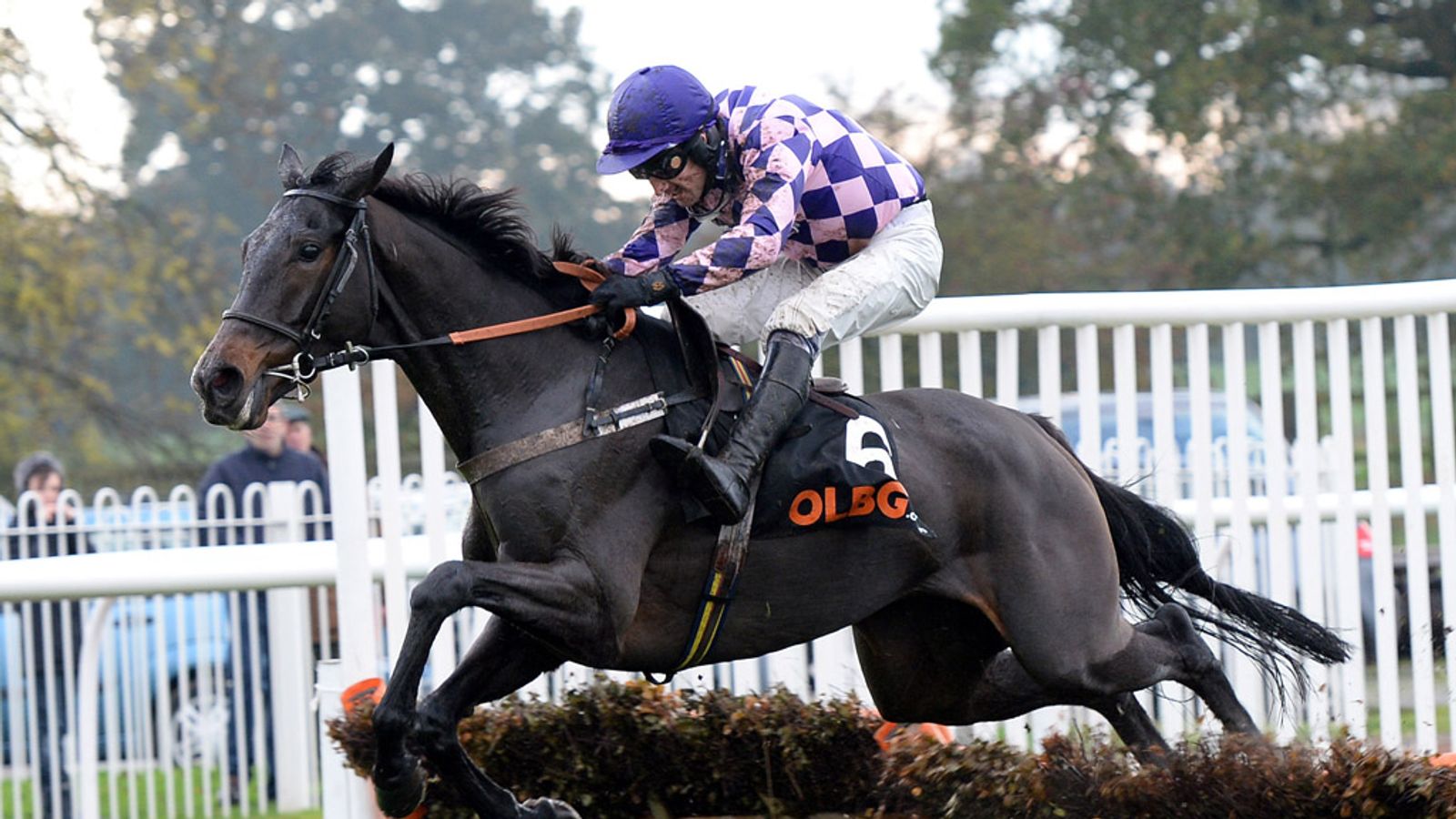Cockney Sparrow team ready for big clash with Quevega | Racing News ...