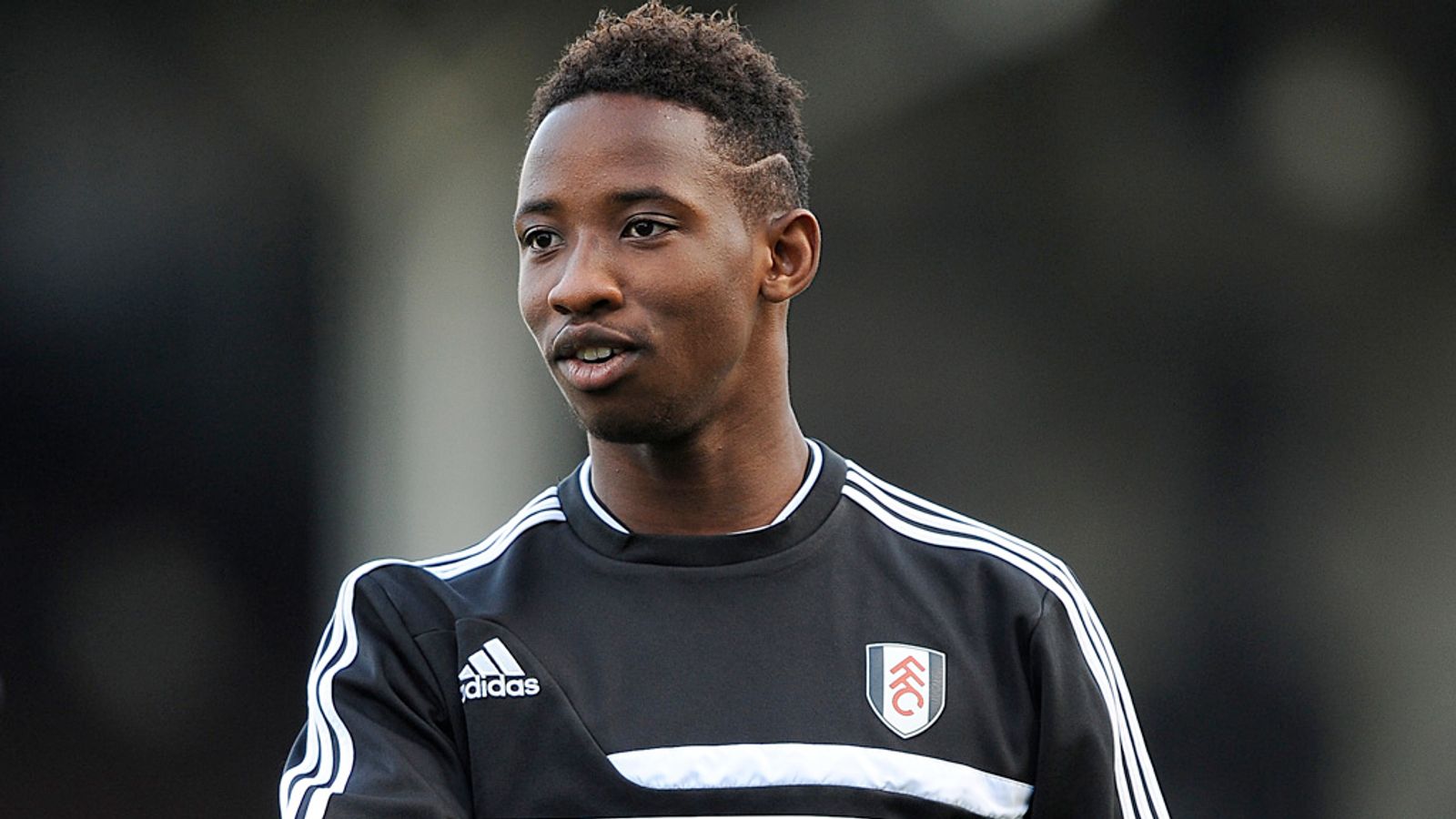 Transfer news: Martin Jol determined to keep Moussa Dembele at Fulham ...