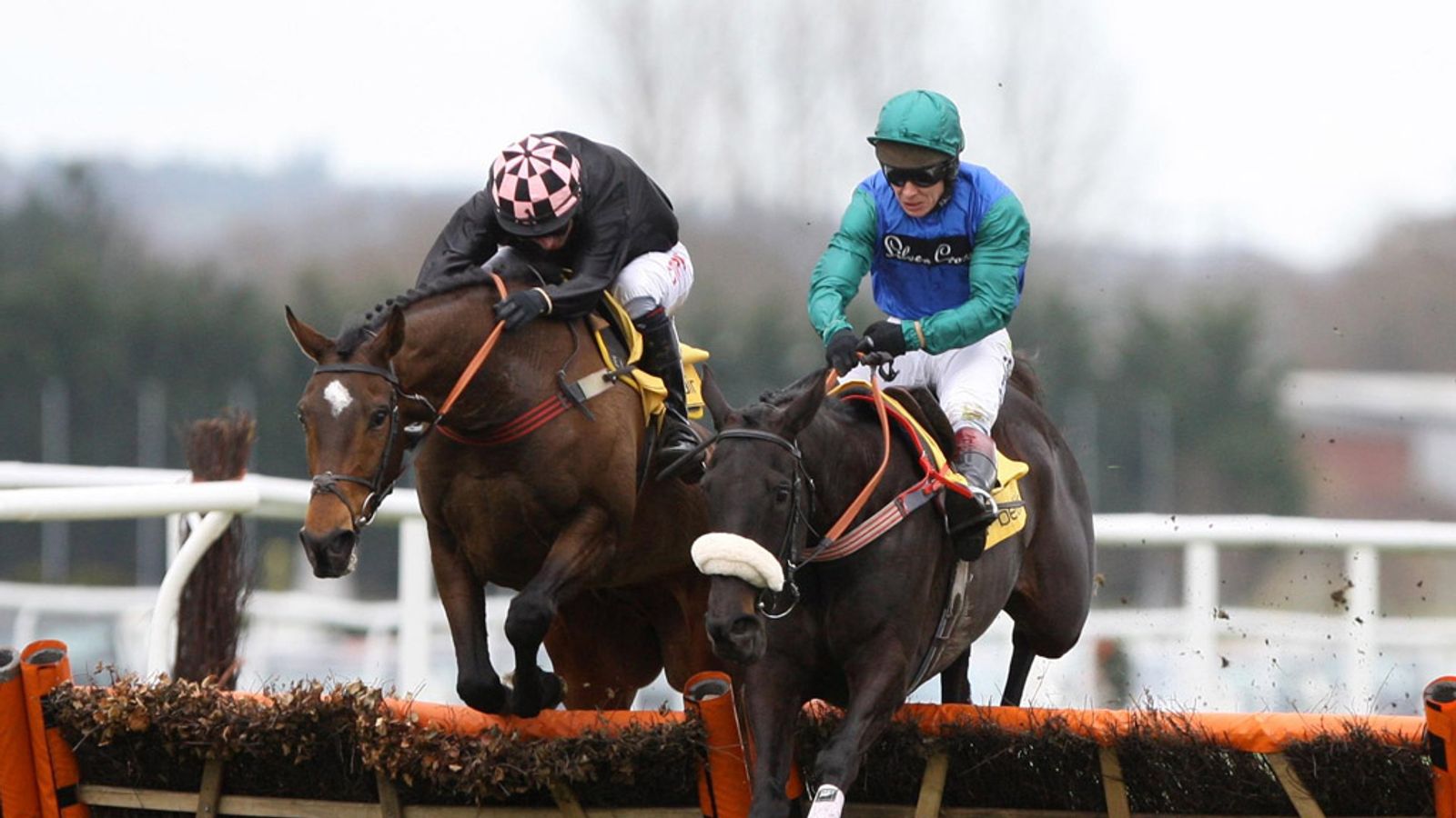 Emma Lavelle has high hopes for Gullinbursti at Haydock | Racing News ...